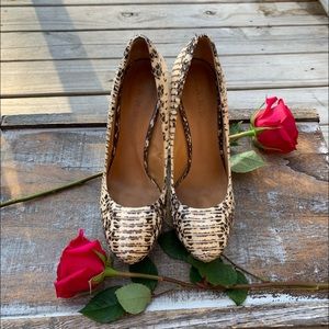 L.A.M.B. | Shoes | Lamb Prissy Snakeskin Pumps | Poshmark
